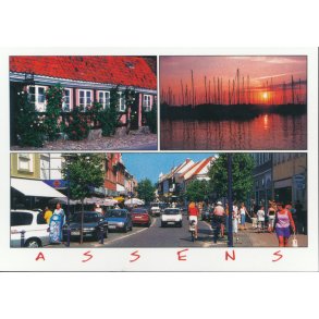 Assens - Trojaborg ApS